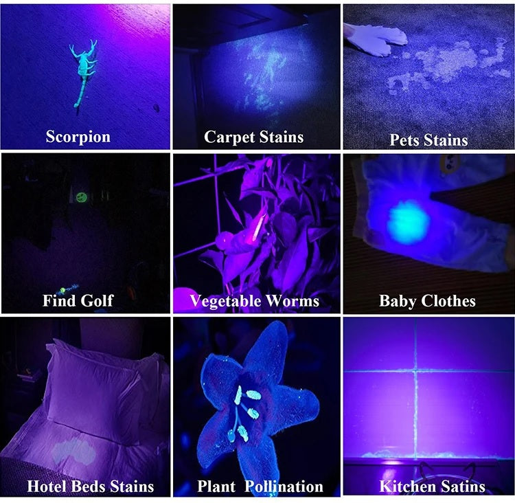 100 LED Ultraviolet UV 395nm Flashlight - Powerful Tool for Detecting ...